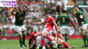 Ireland Confirm Fixtures for Autumn Internationals 2025